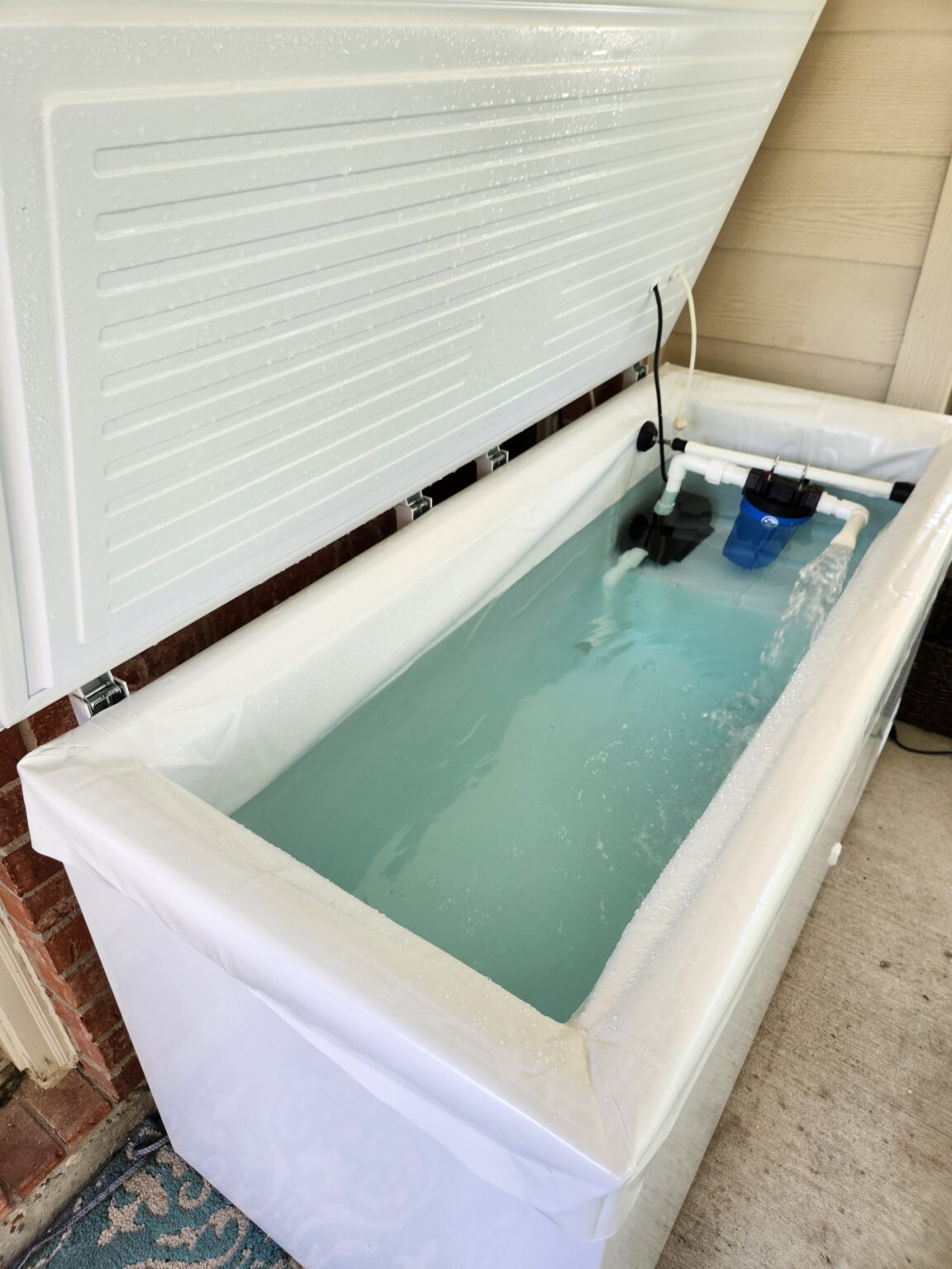 Removable Liners for Chest Freezers: A Practical Guide – Chest Freezer ...